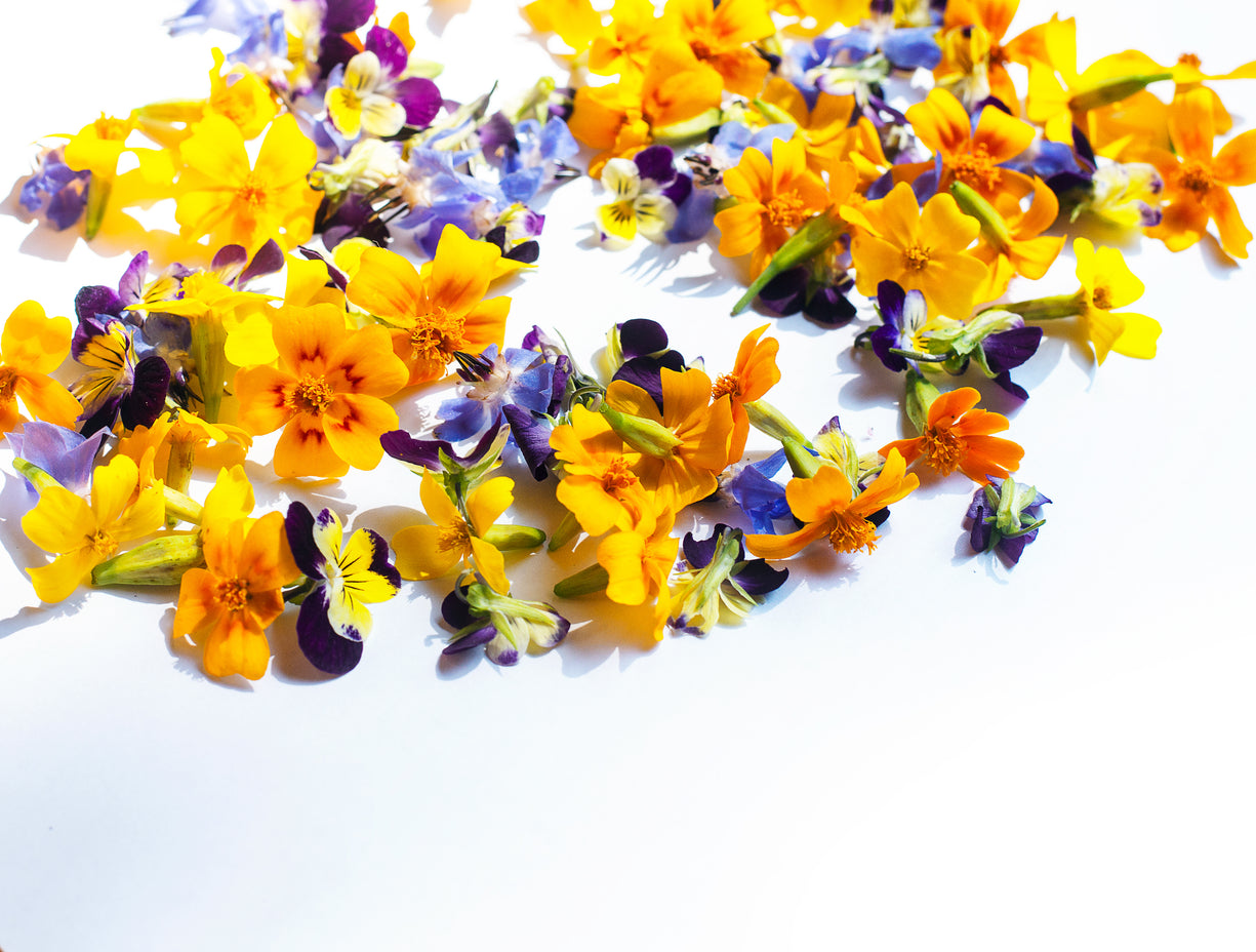 Free Embroidery Patterns – SUPER CREATIVE EMBROIDERY